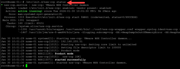 Accessing the root privileged mode from the NSX CLI - DPC Virtual Tips