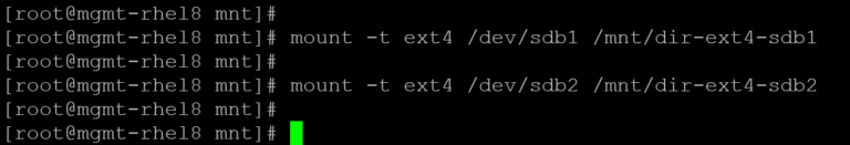 Creating Disk Partitions And Filesystems On Rhel 8 Dpc Virtual Tips