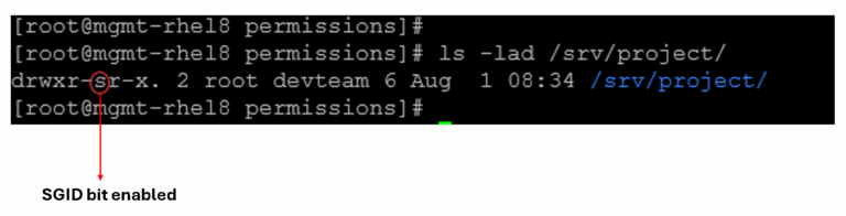 Overview of Linux Permissions on RHEL 8 - DPC Virtual Tips