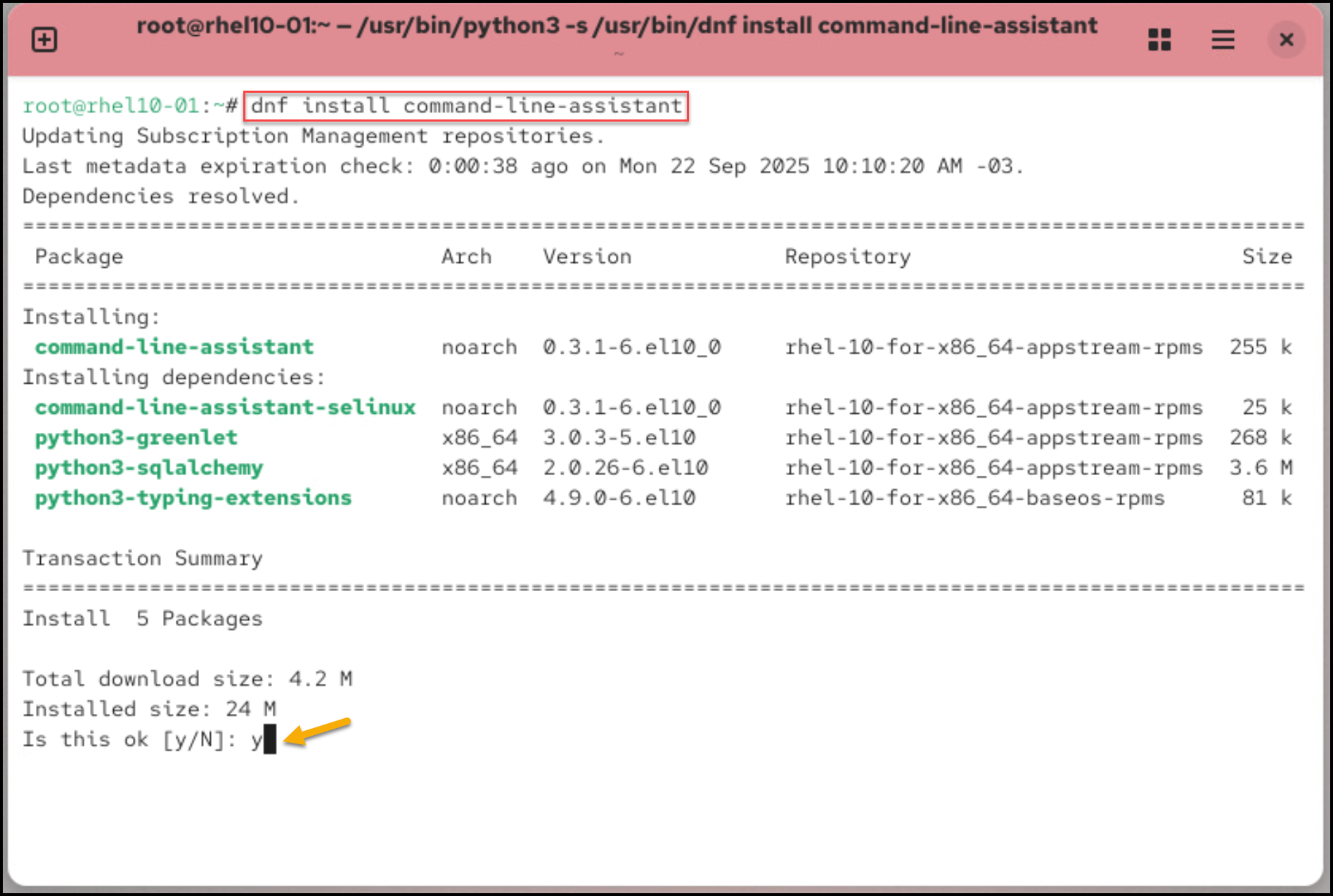 Introducing RHEL Lightspeed for RHEL Systems - DPC Virtual Tips
